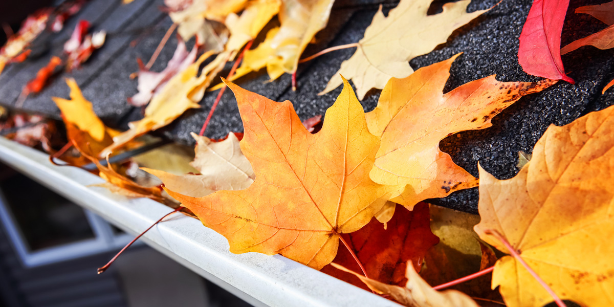 This Fall Checklist Can Help You Avoid Costly Home Damage | Grange ...